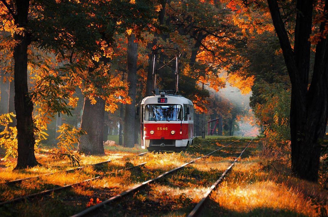 Pushcha-Vodytsia tram | Scrolller