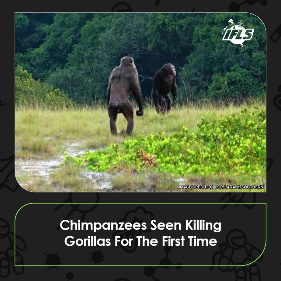 PvP in a Nutshell | Scrolller