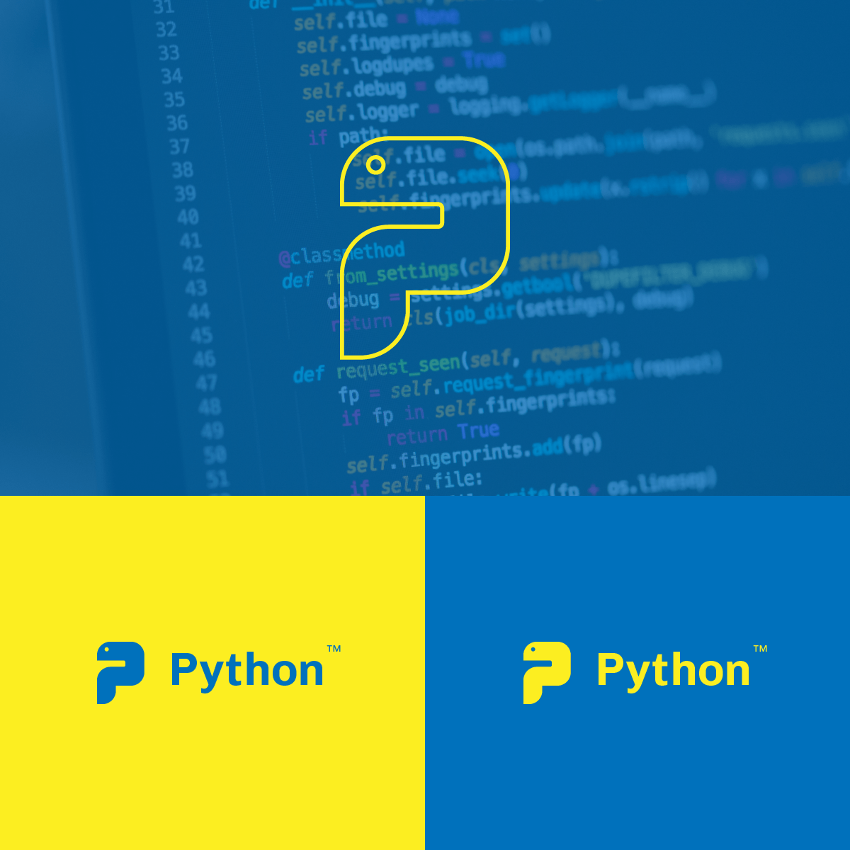 Python Logo Redesigned | Scrolller