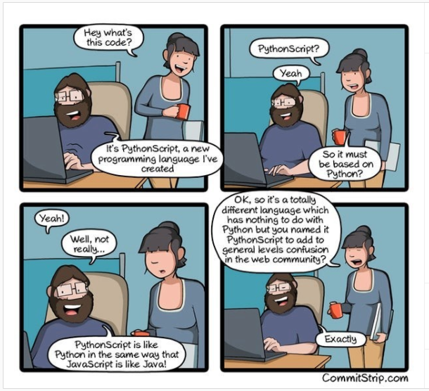 PythonScript comic strip | Scrolller