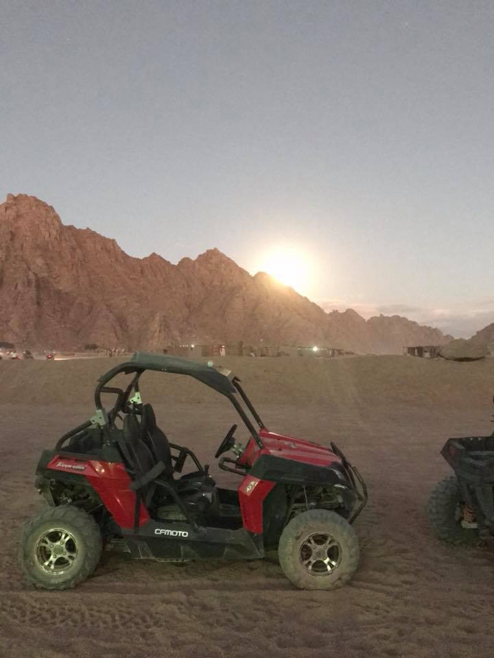 Quad or Buggy? | Scrolller