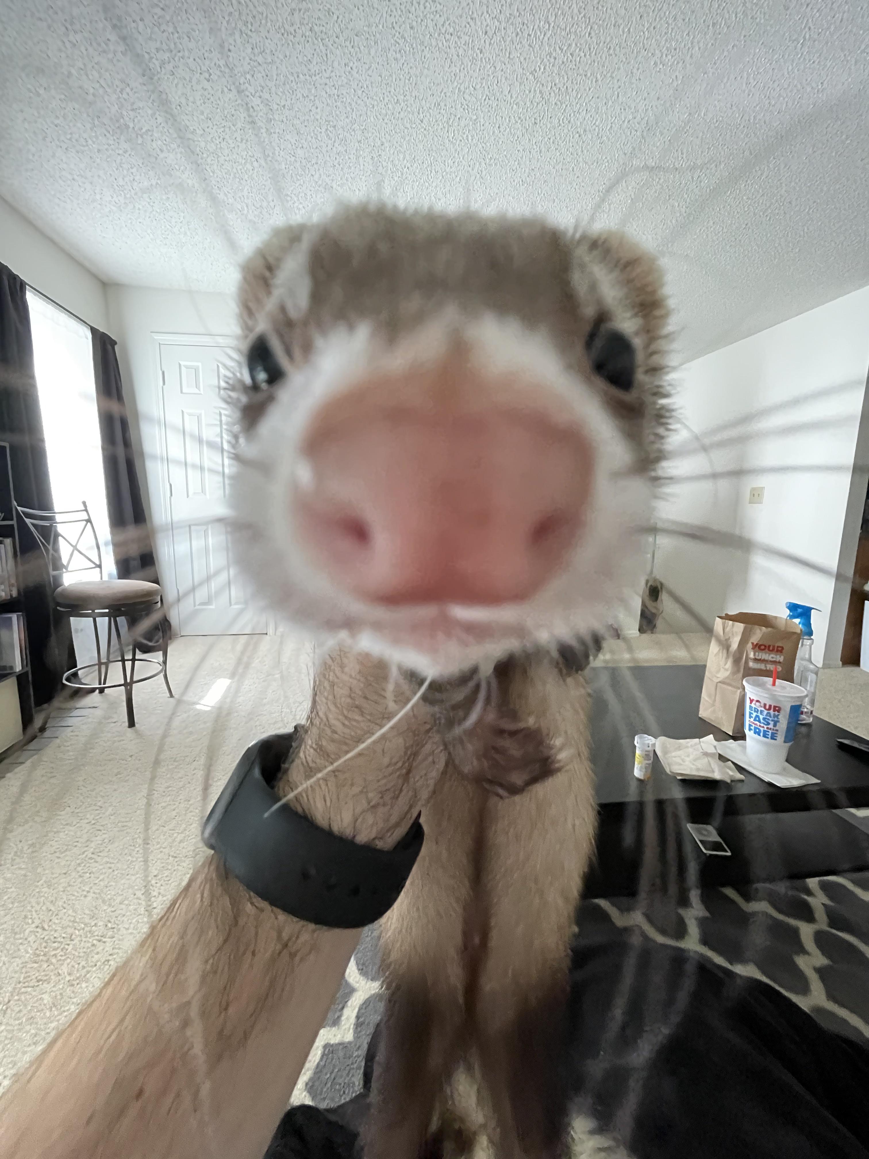 Quality Content | Scrolller