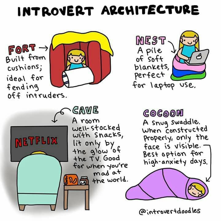 Quality Introvert Architecture | Scrolller