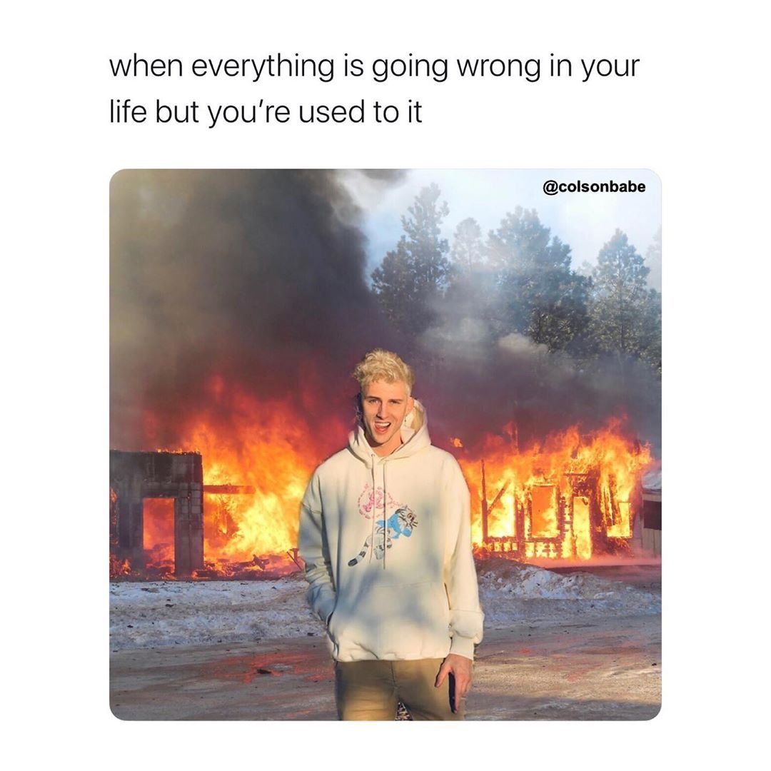 Quality meme | Scrolller