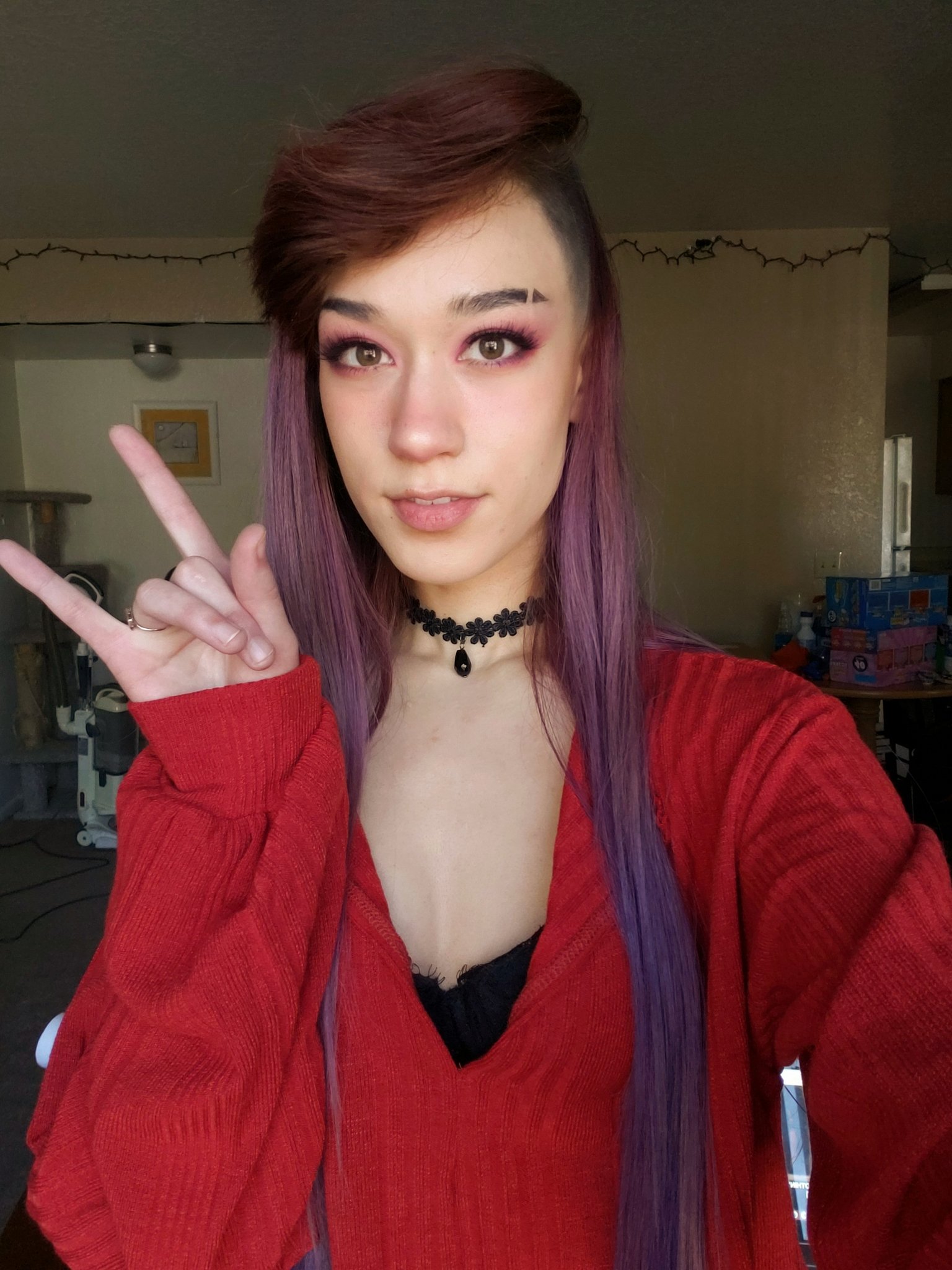 Queen tofu | Scrolller