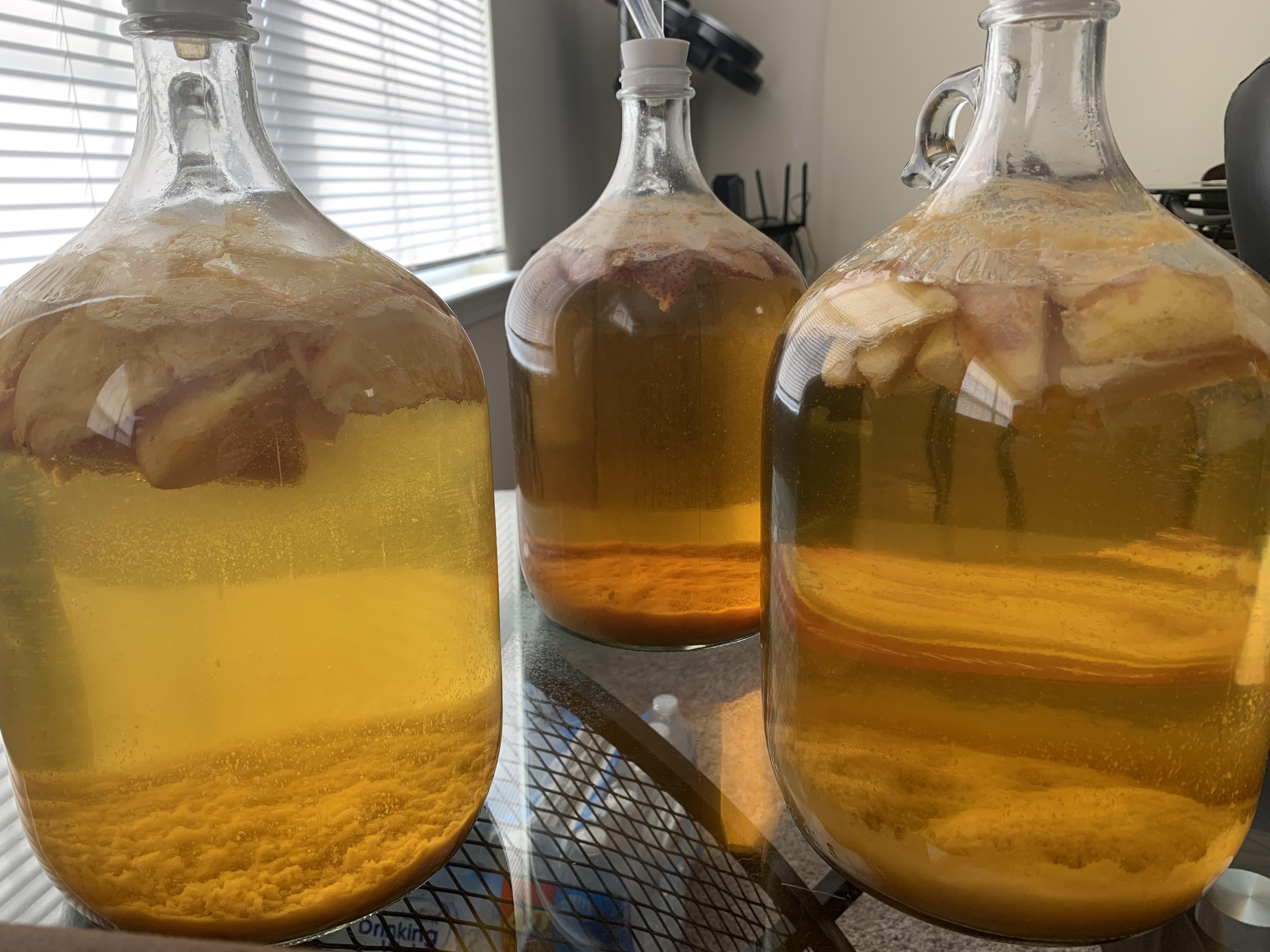 Questions about my first batch | Scrolller