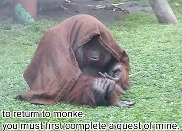 Quick return to monke | Scrolller