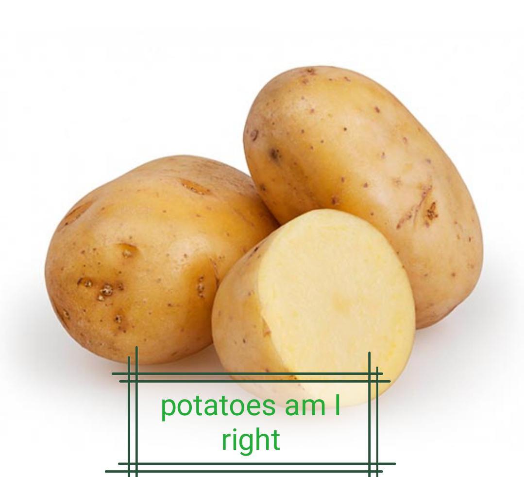 R/potatoes | Scrolller