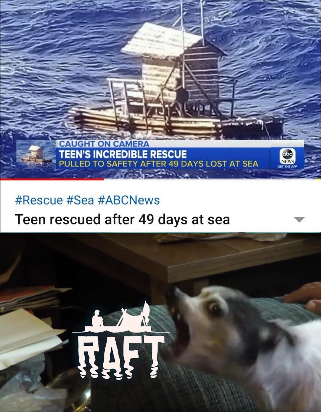 RAFT RAFT RAFT | Scrolller