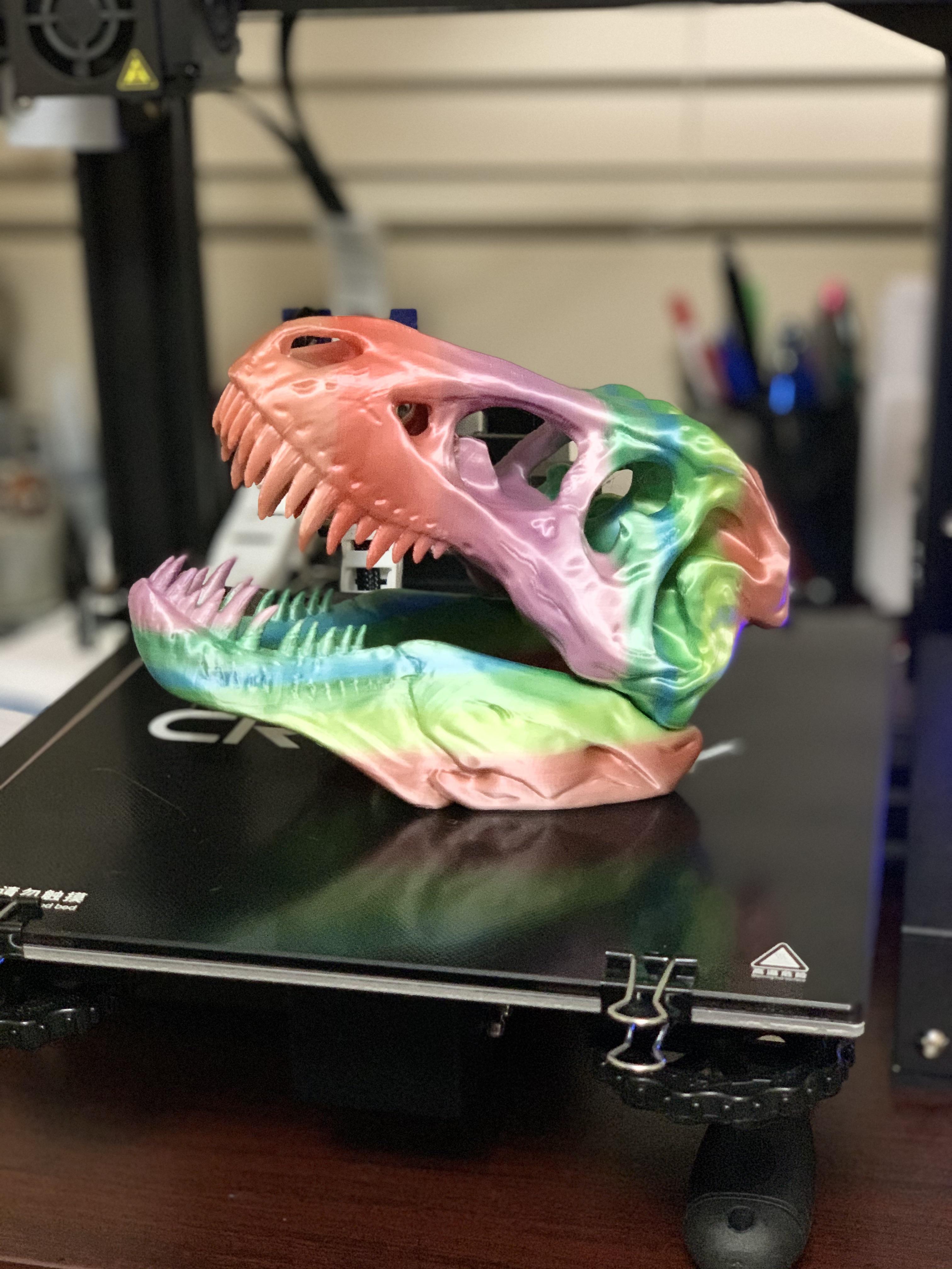 Rainbow Rex | Scrolller