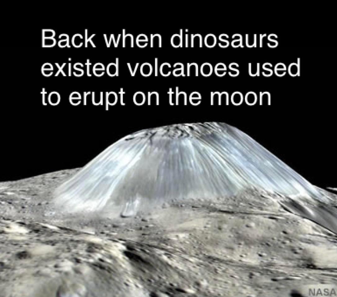 Random fact for reddit | Scrolller