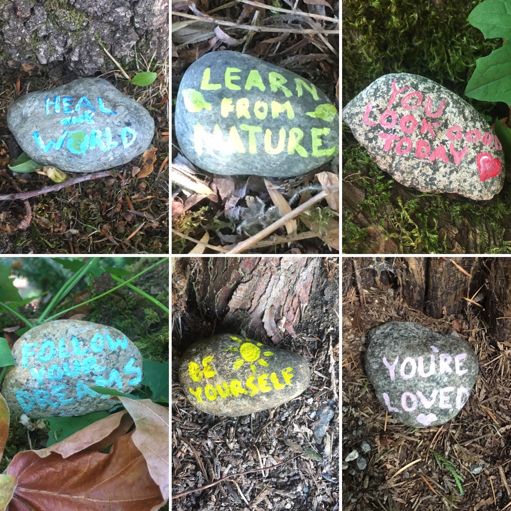 Random finds while out and about. They were placed by trees. | Scrolller