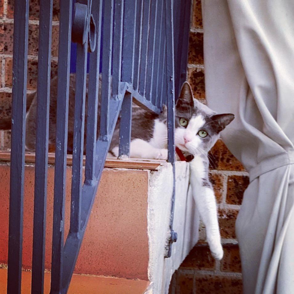 Rani donning her best dangle. | Scrolller