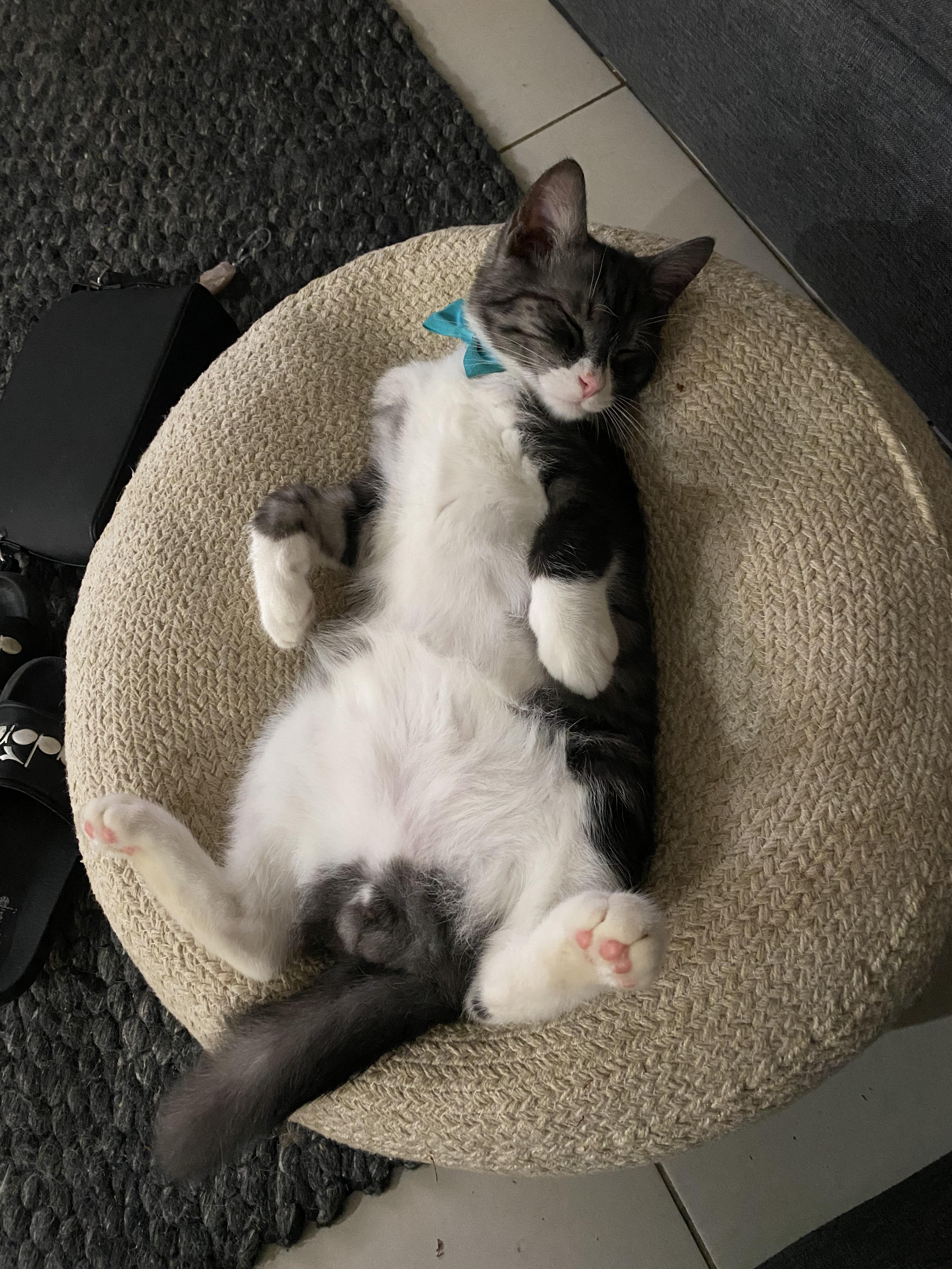 Rare footsie and feetsies | Scrolller