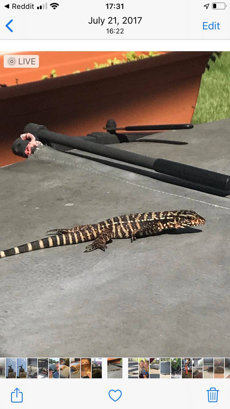 Rasputin as a baby gu | Scrolller