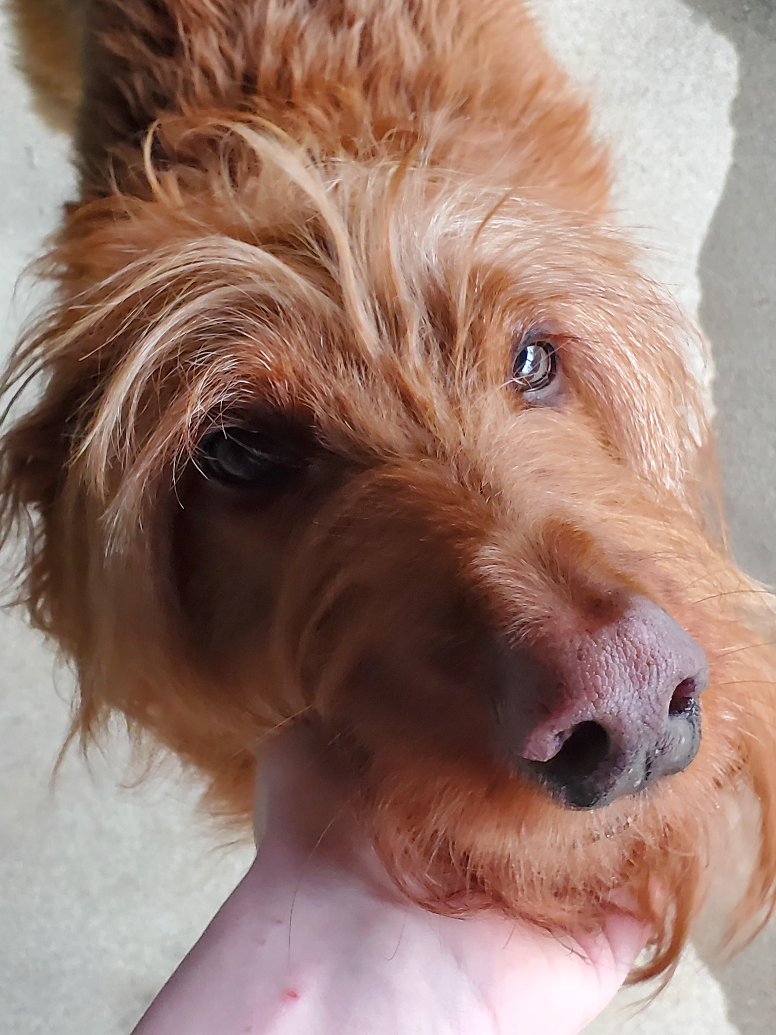 Rate my child | Scrolller