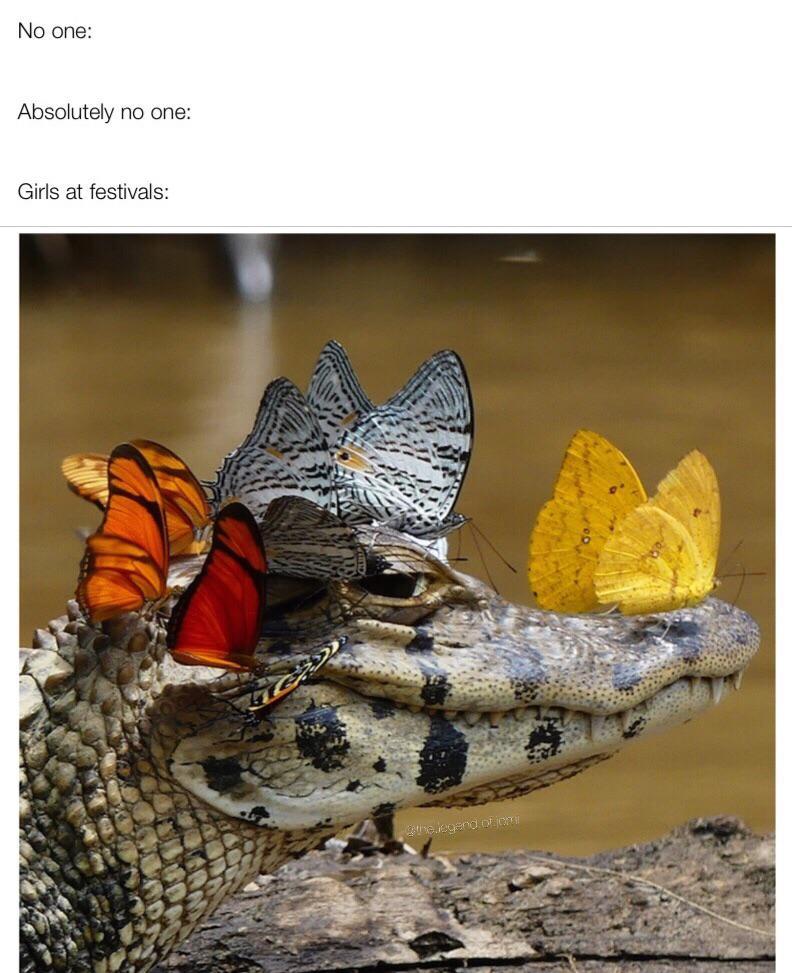 Rave ready yass | Scrolller