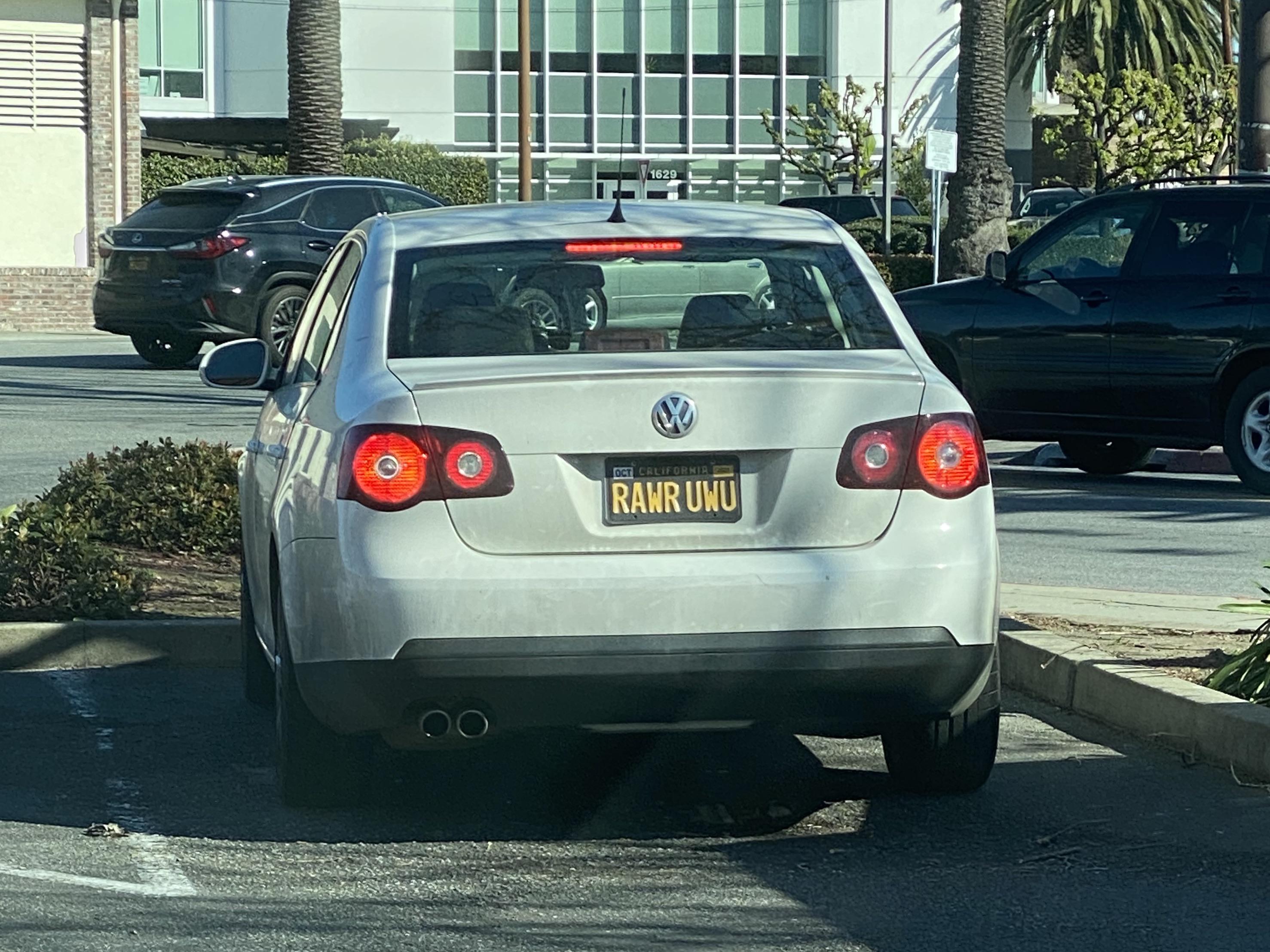 Spotted one in the wild | Scrolller