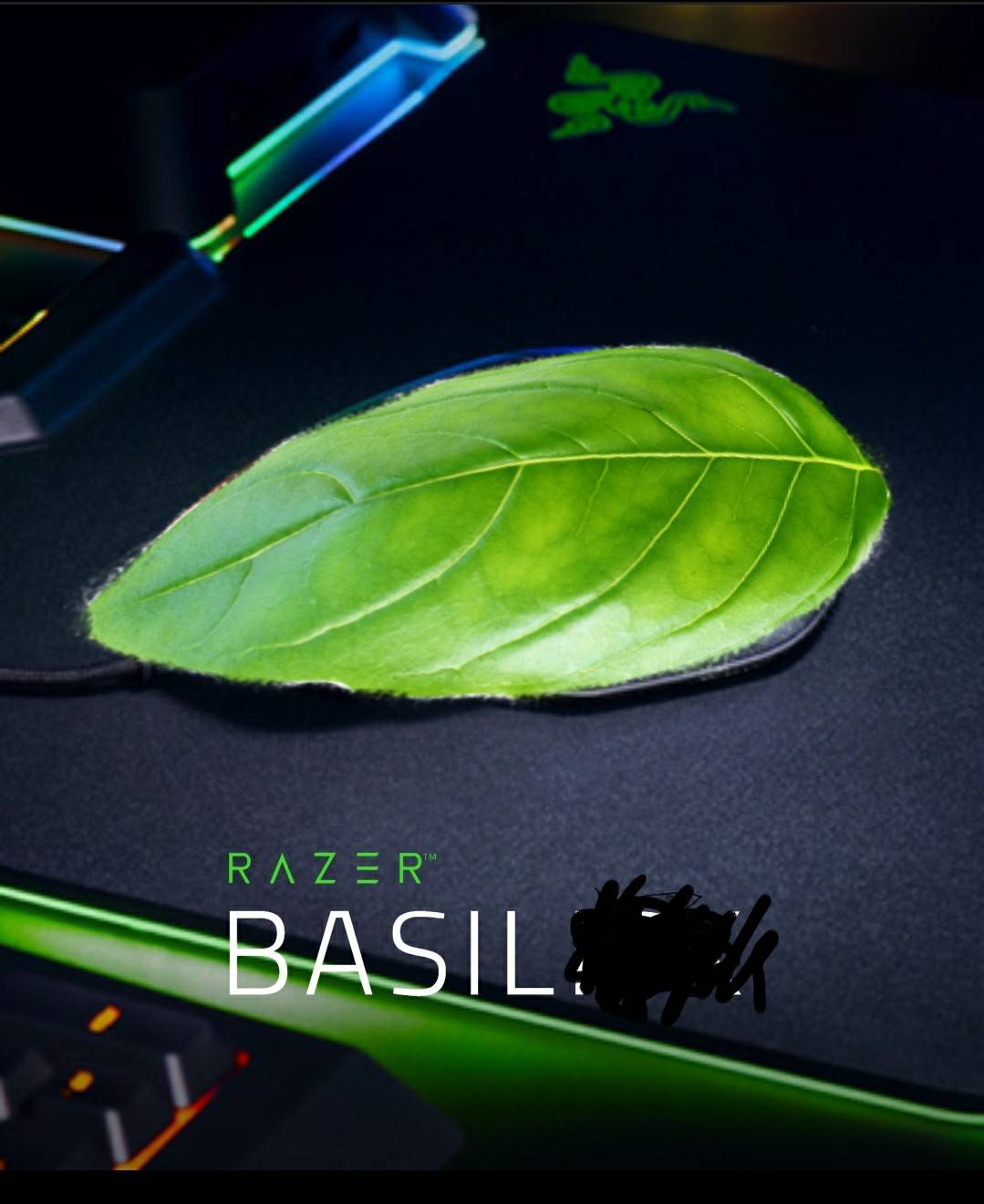 Razer Basil | Scrolller
