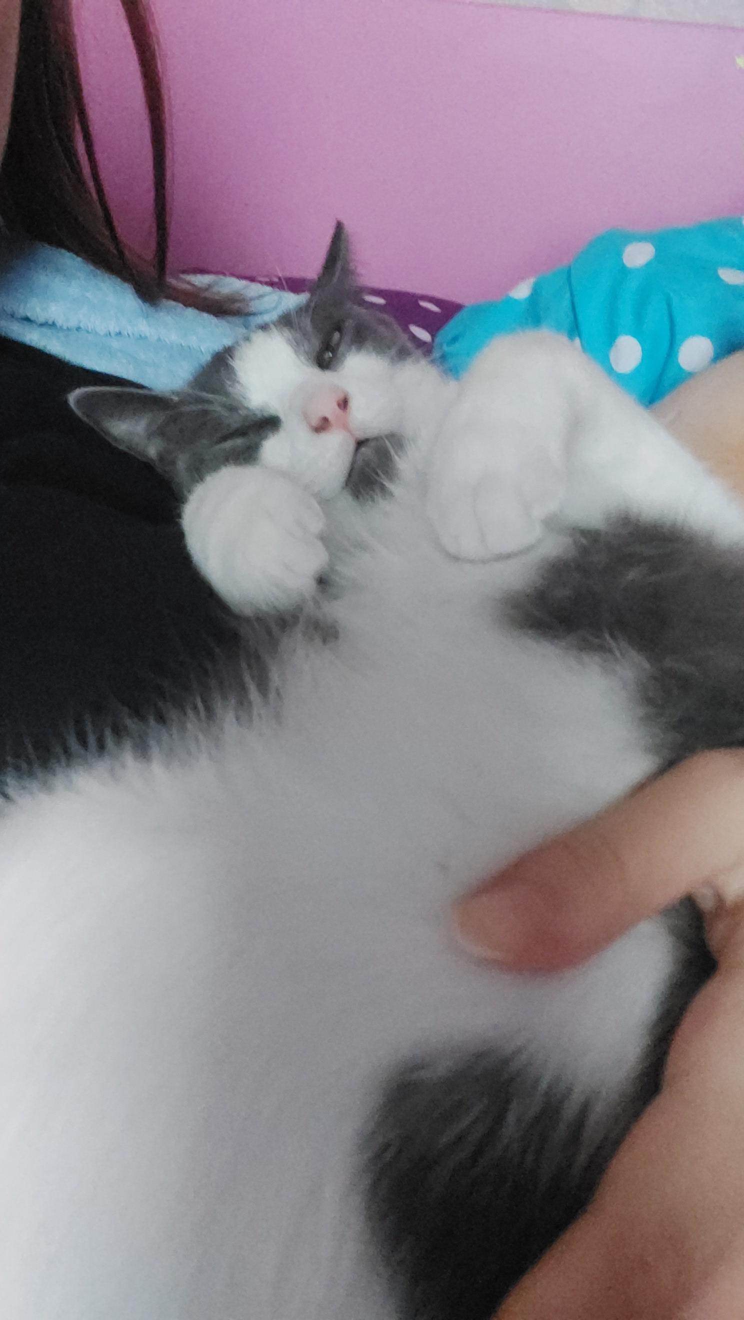 Ready for take-off after a quick nap | Scrolller