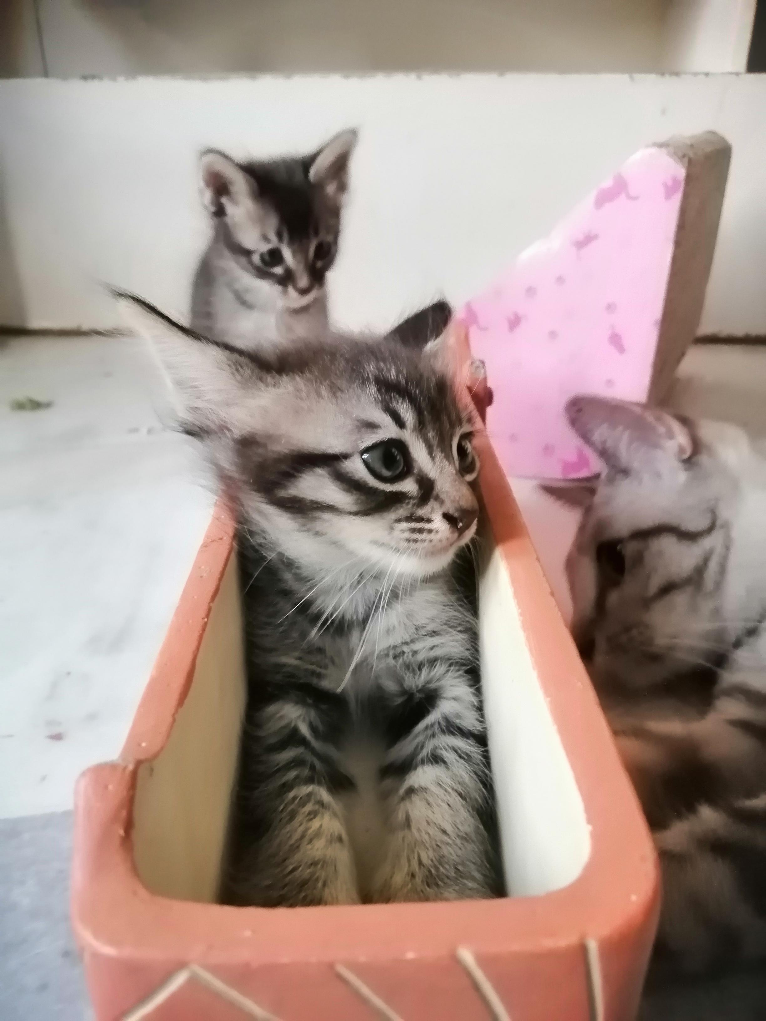 Ready for take off goodbye granny goodbye stinky brother | Scrolller