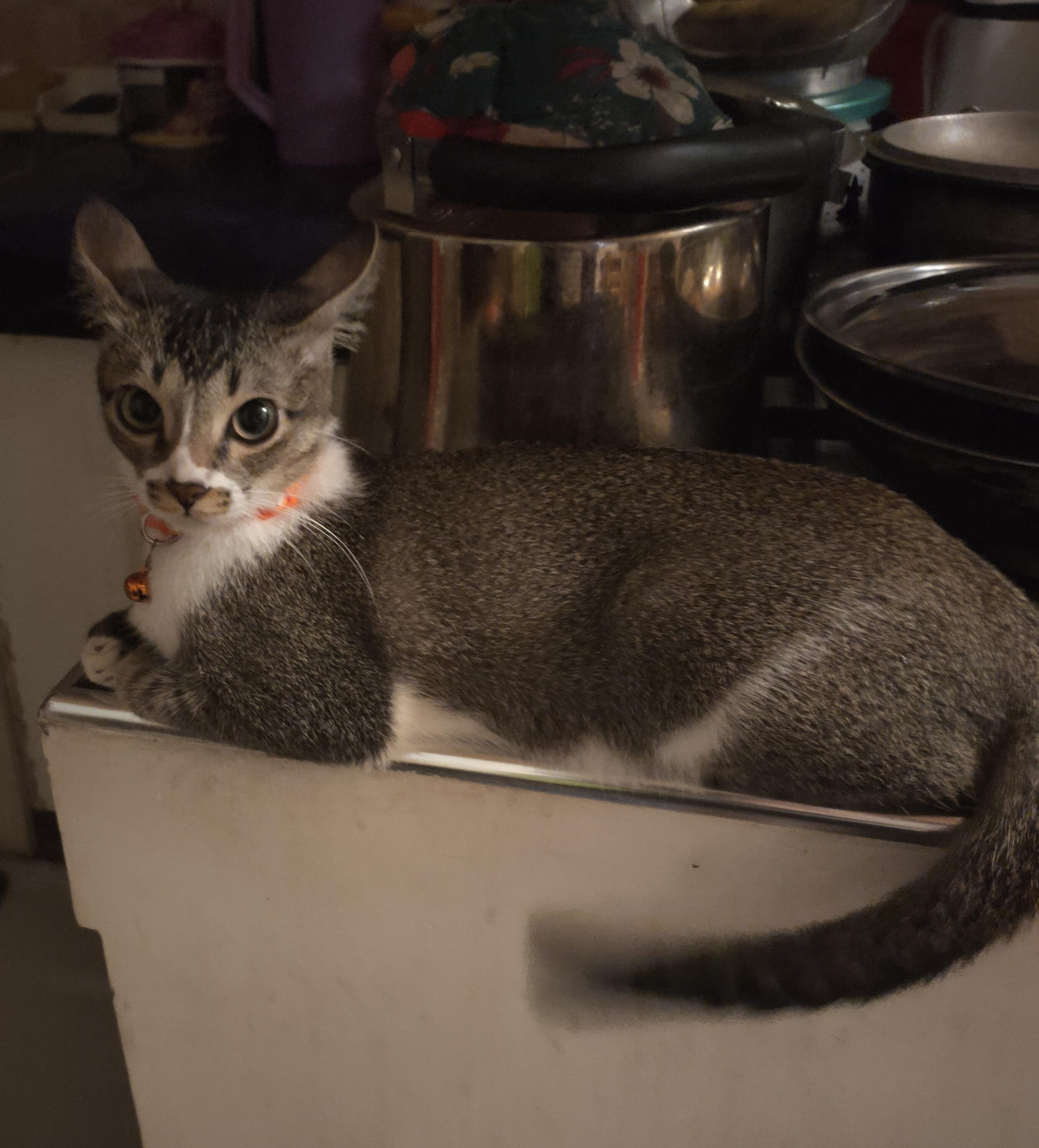 Ready for takeoff! | Scrolller