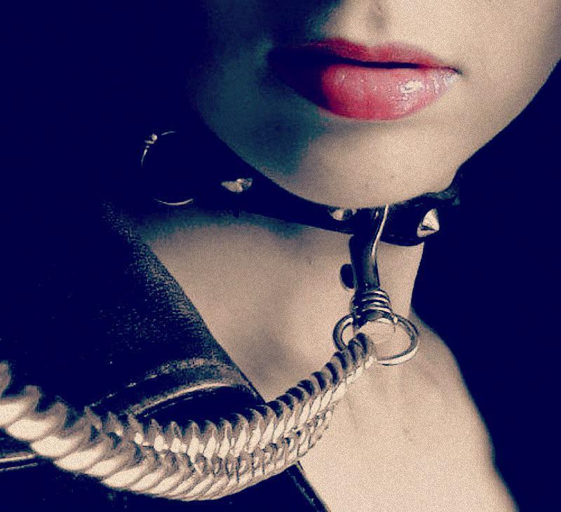 Ready for walk | Scrolller