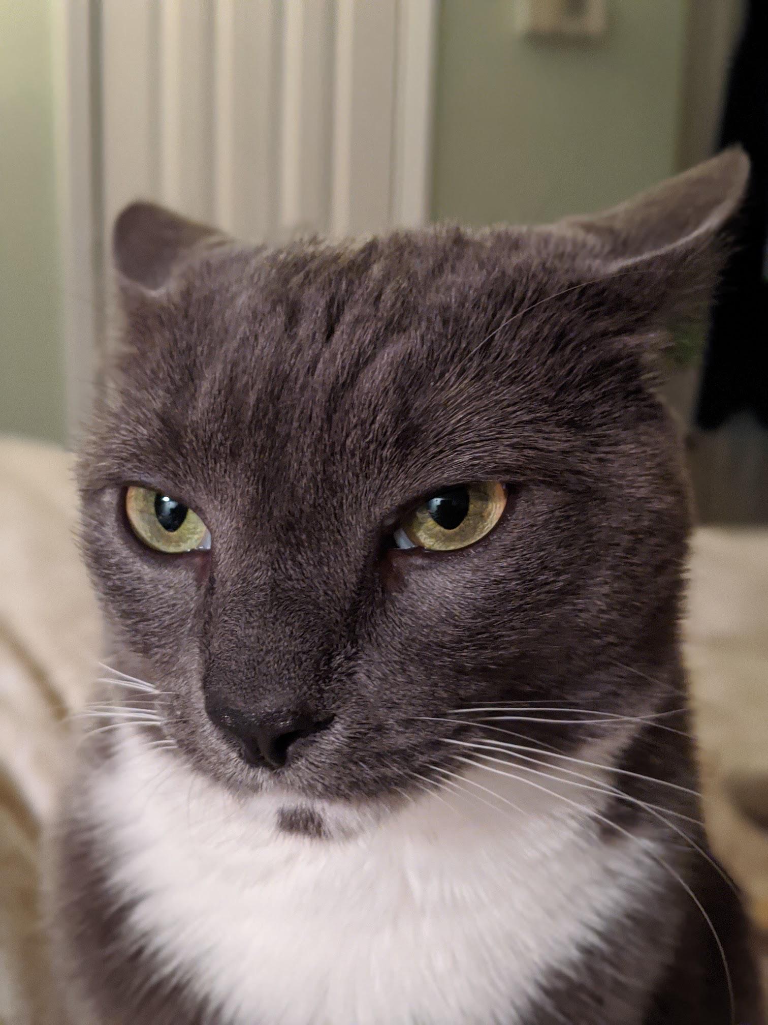 Ready to Launch | Scrolller