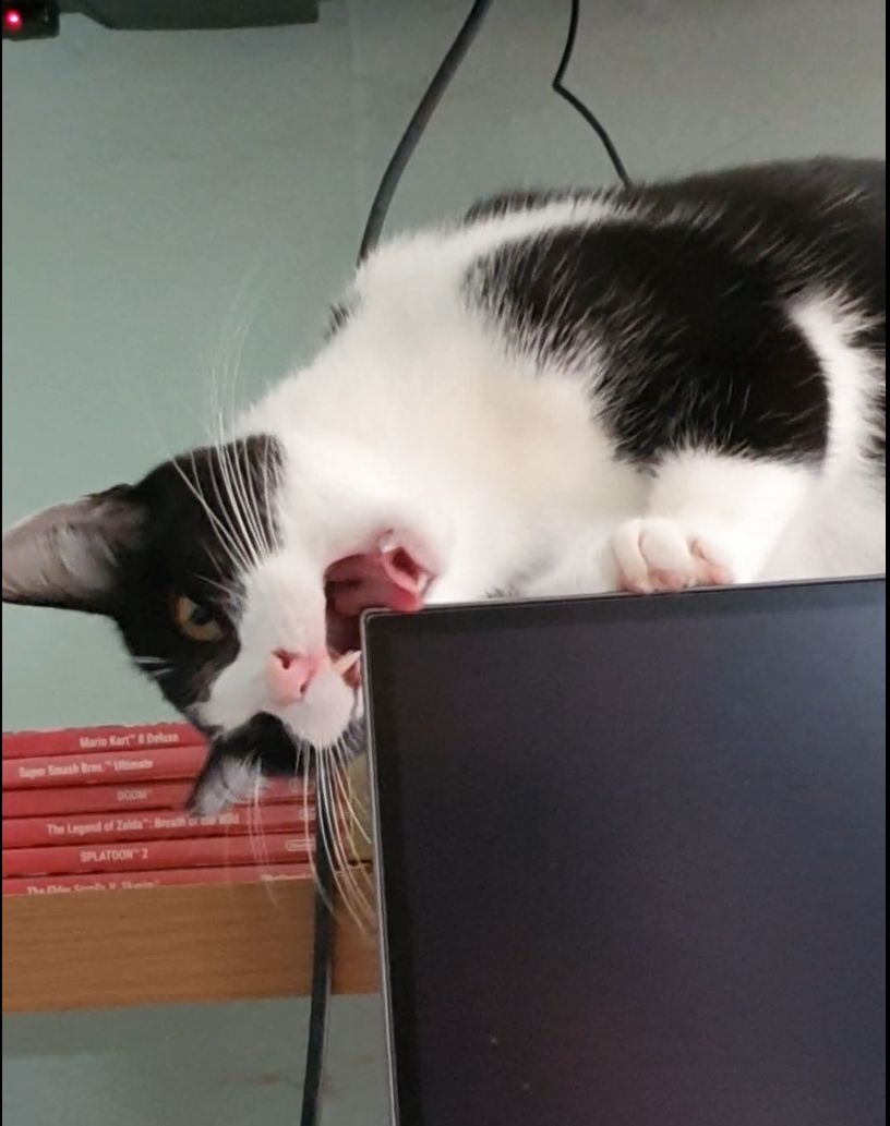 Really do be like that sometimes | Scrolller