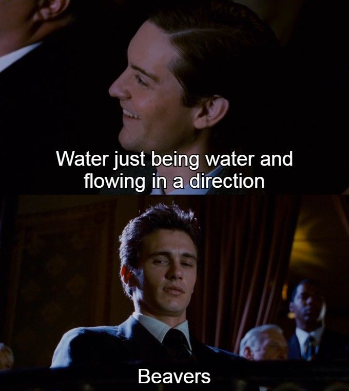 Really though. Why? | Scrolller