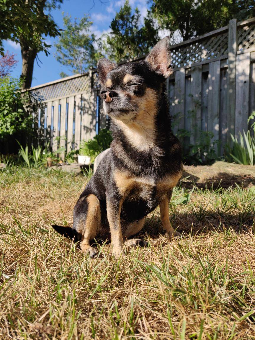 Recharging ☀️🔋 | Scrolller