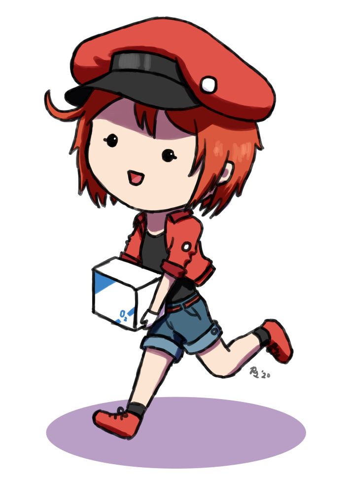 Red Blood Cell | Scrolller