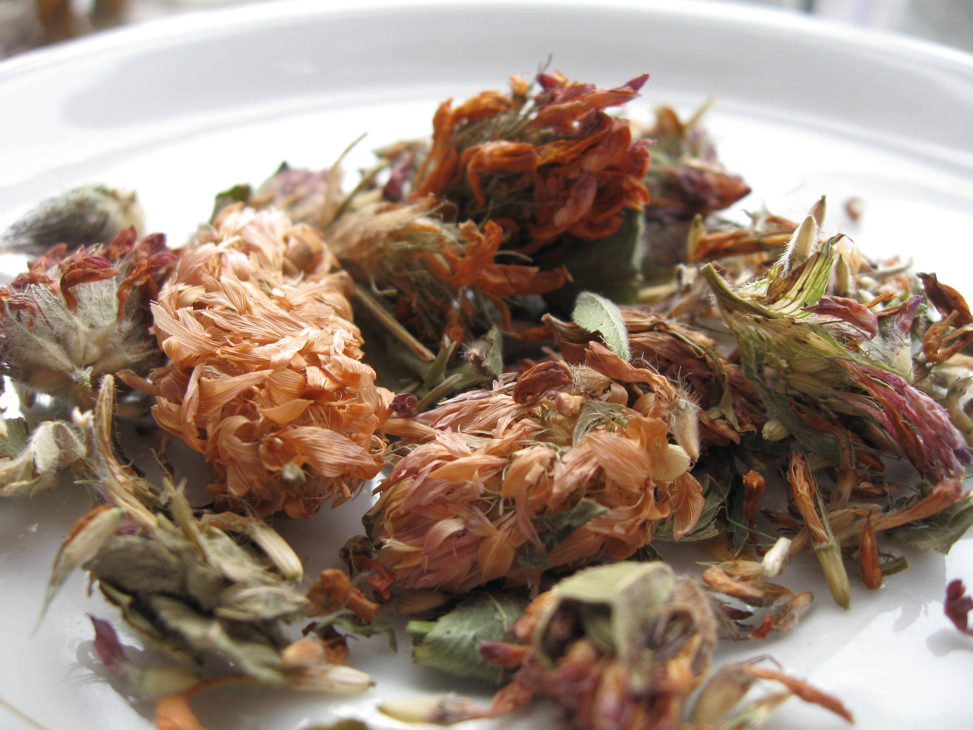 Red Clover Tea | Scrolller