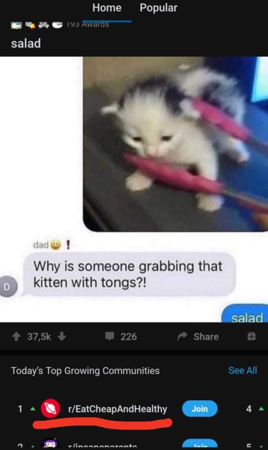 Reddit is sometimes...weird | Scrolller