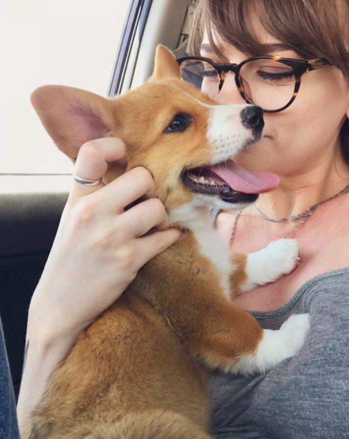 Reddit, meet Dobby! | Scrolller