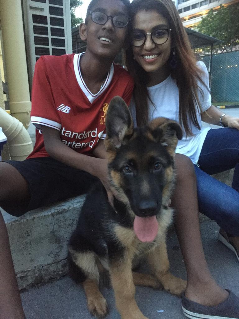 Reddit meet hercules | Scrolller