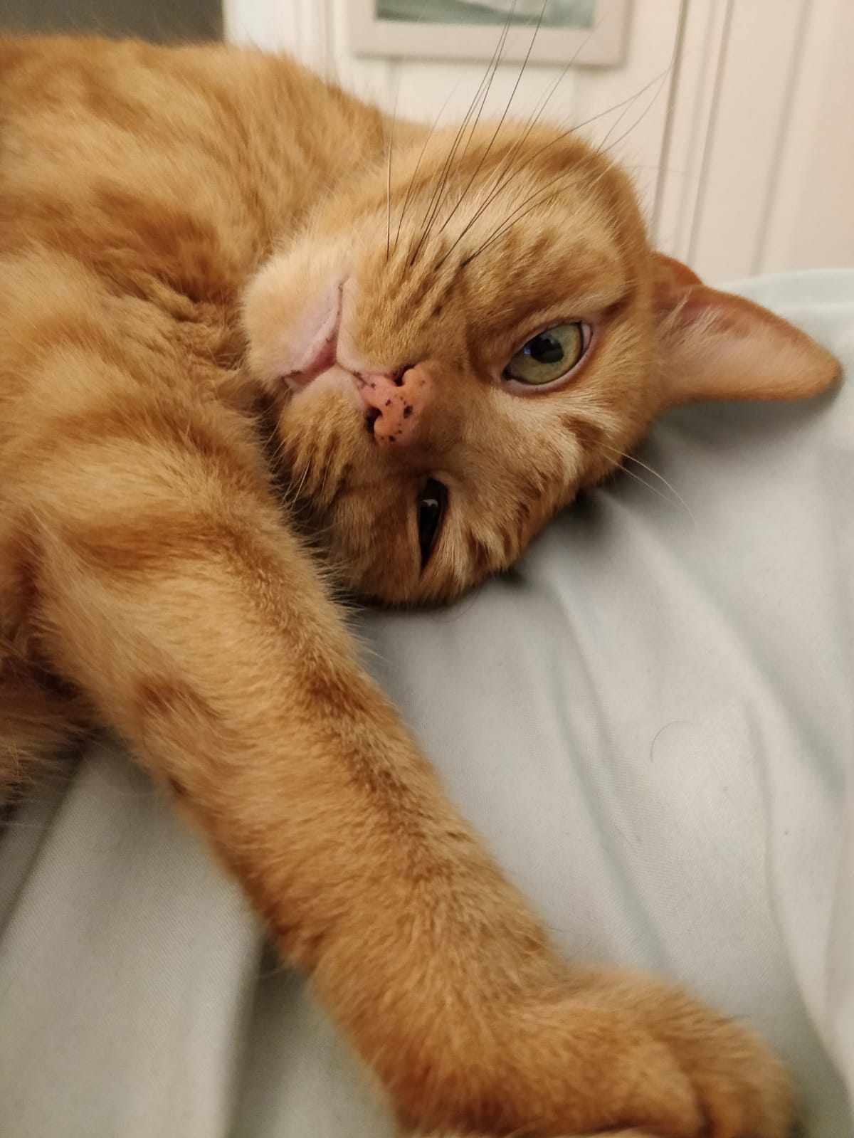 Reddit meet Jerry! | Scrolller