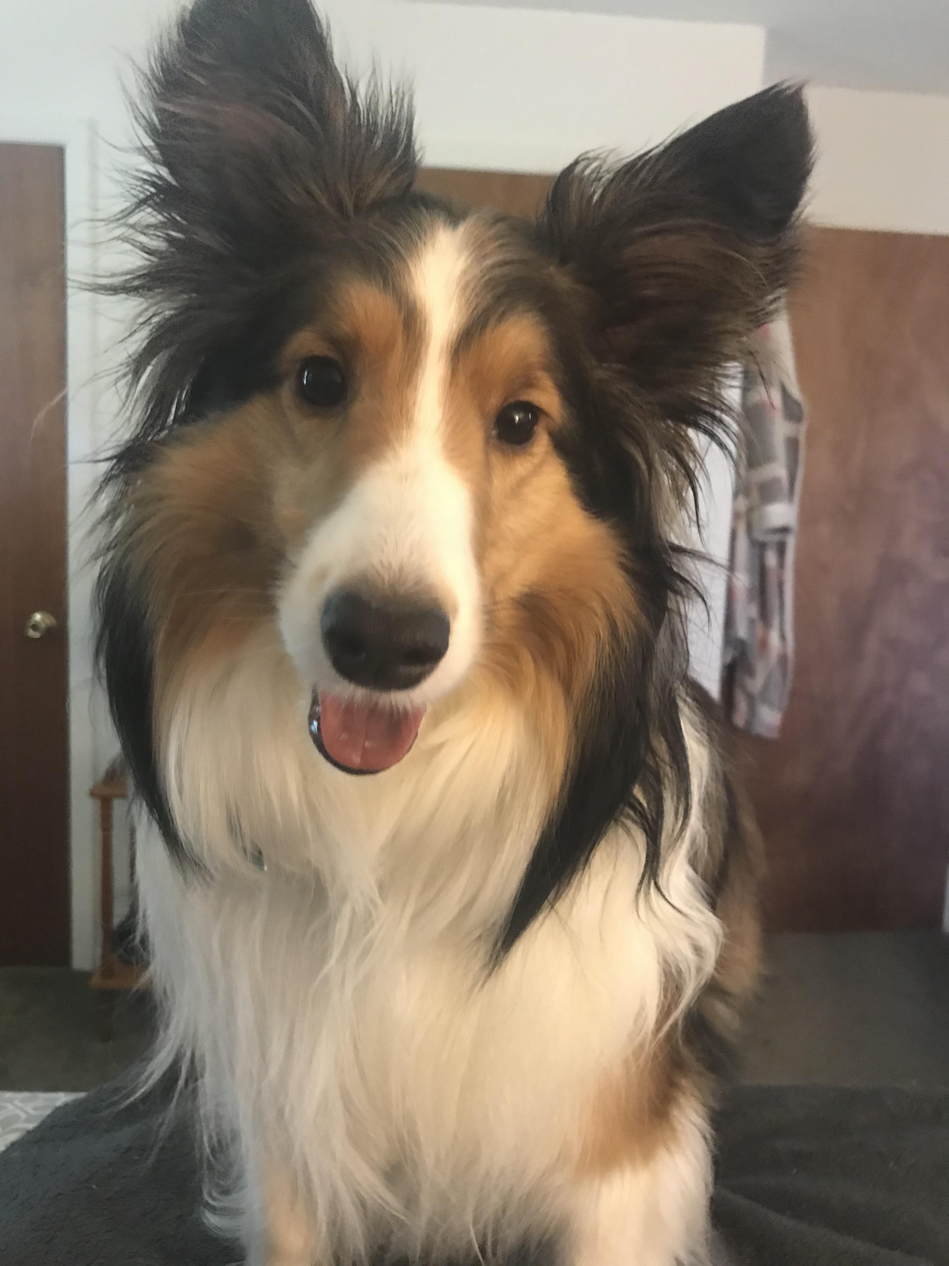 Reddit meet Kirby! | Scrolller