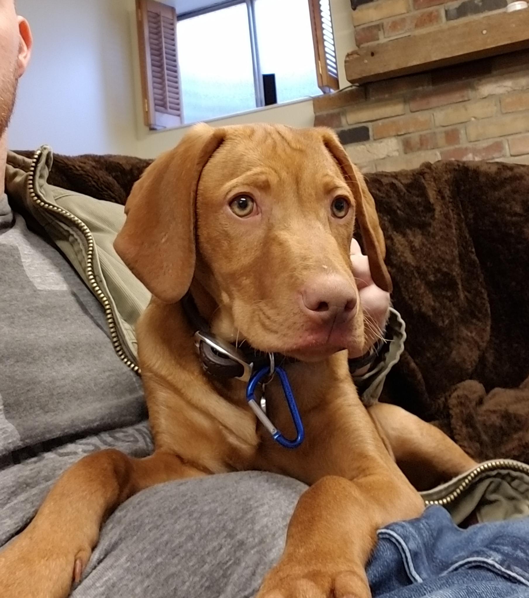 Reddit, meet Maverick | Scrolller