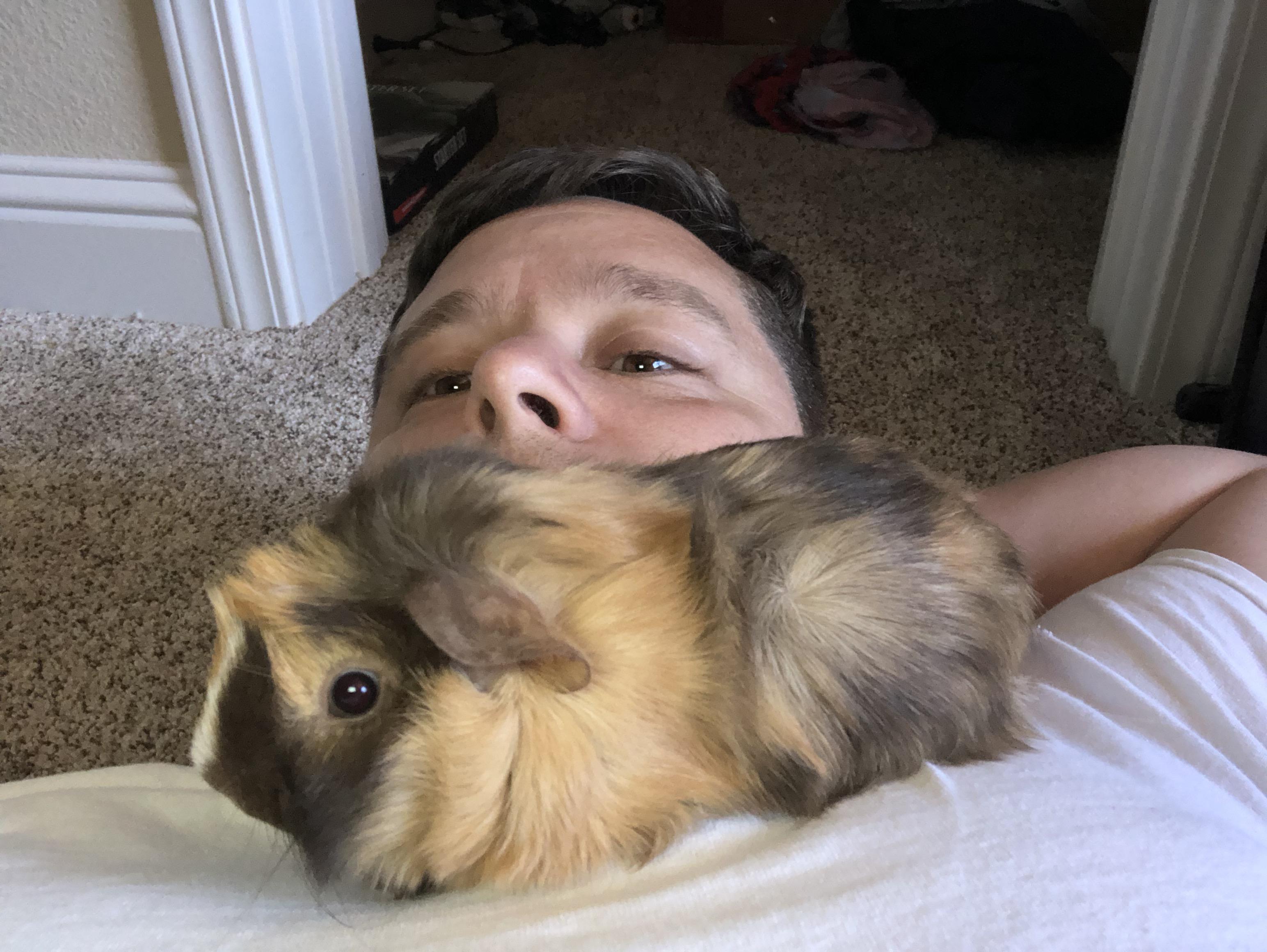 Reddit, meet Mr Peanutbutter | Scrolller