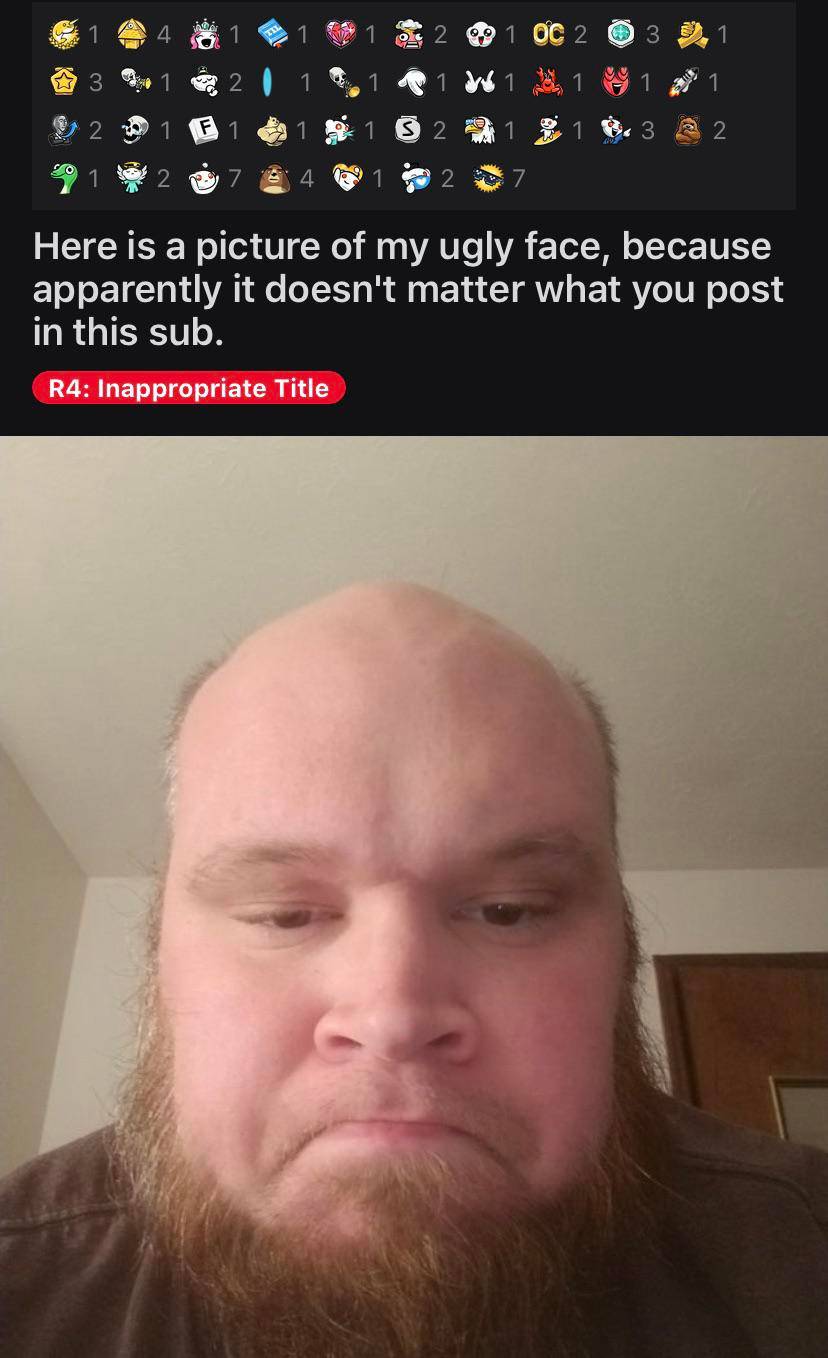 Reddit moment | Scrolller