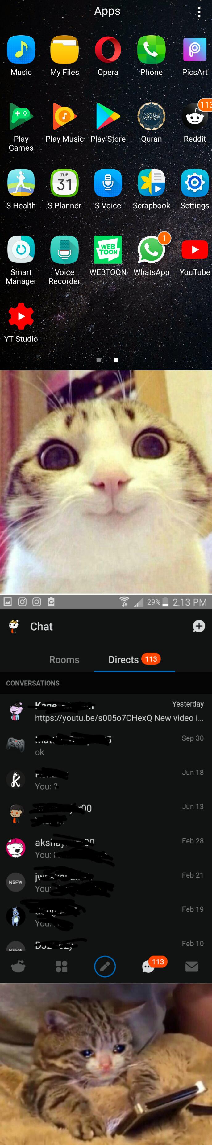 Reddit please don't do that. | Scrolller