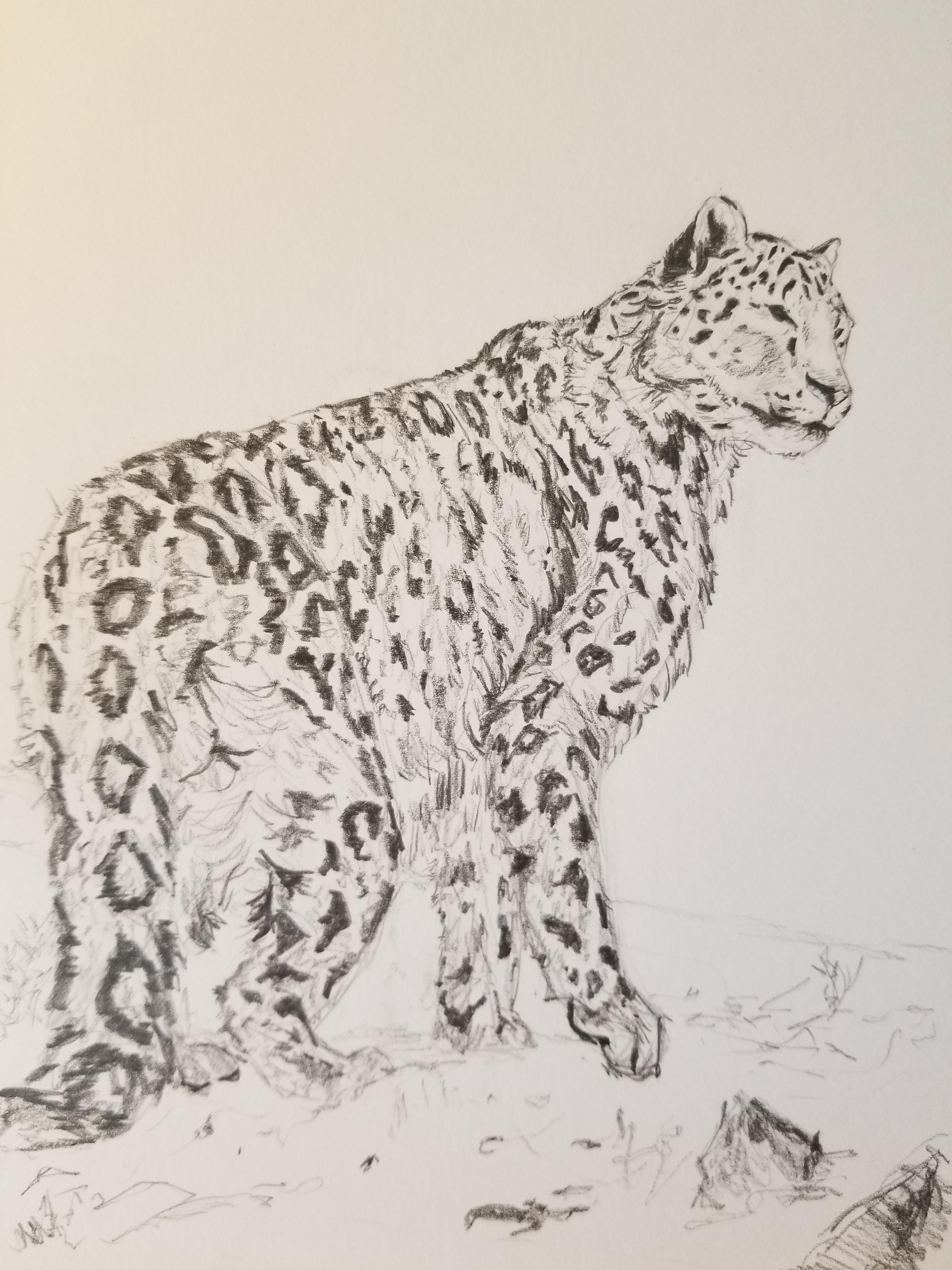 Reflection, by me, graphite, 2021 | Scrolller