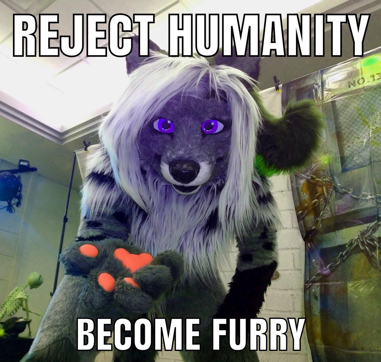 Reject_IRL | Scrolller