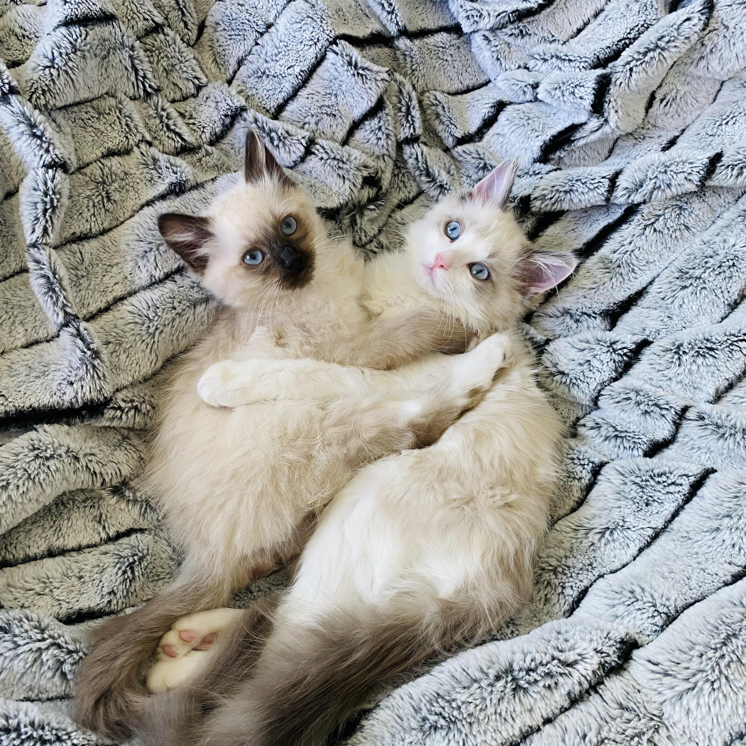 relationship goals | Scrolller