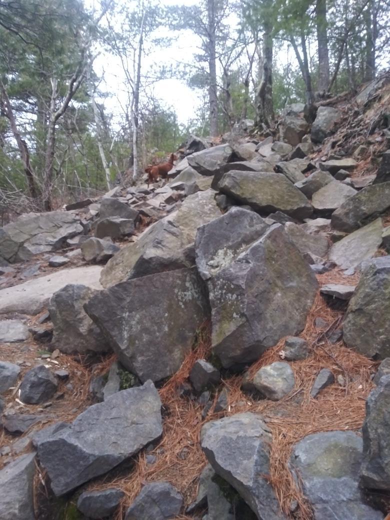 Relationship on the rocks | Scrolller