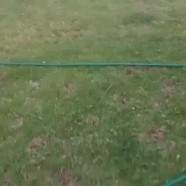 Relaxed 2 the max | Scrolller