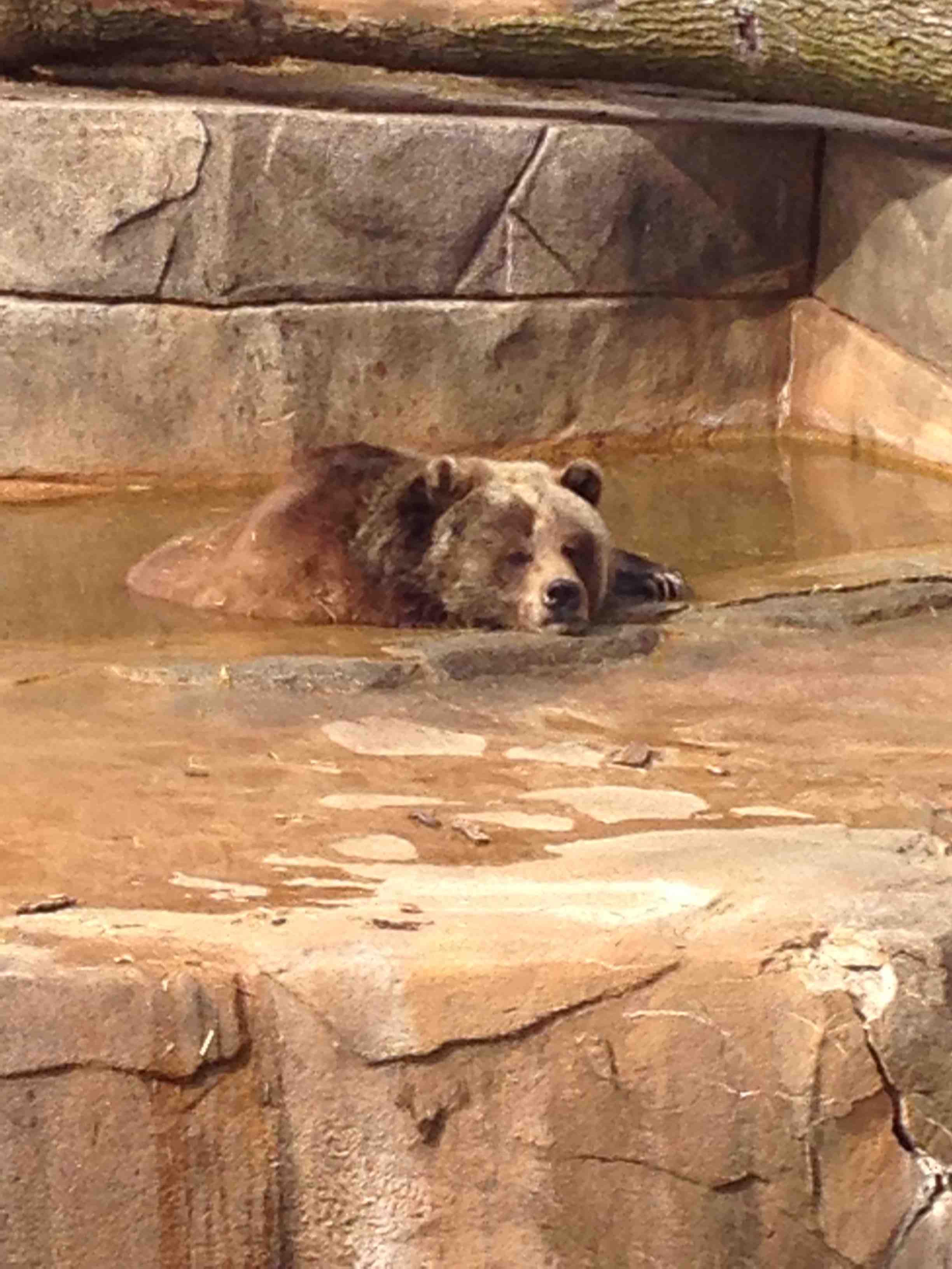 Relaxing at the Milwaukee Zoo | Scrolller