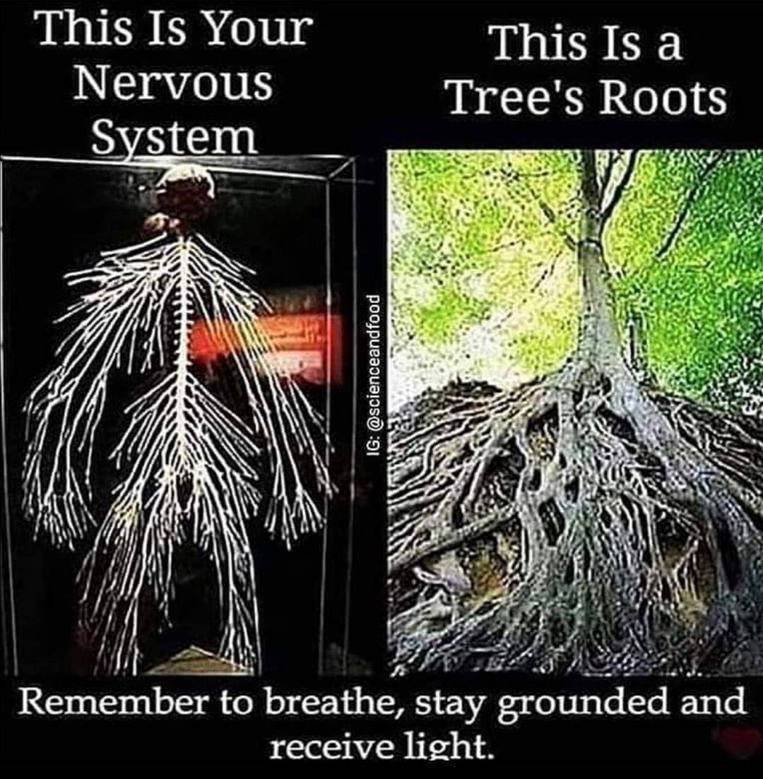 Rember boys. Keep breathing. | Scrolller