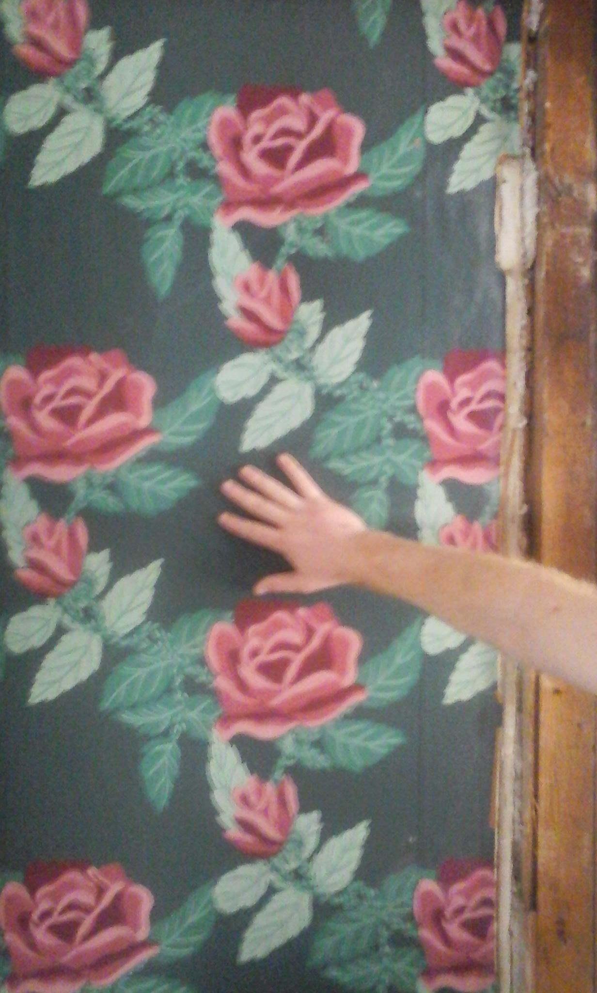 removed the wood panelling to reveal this. (hand for scale) | Scrolller